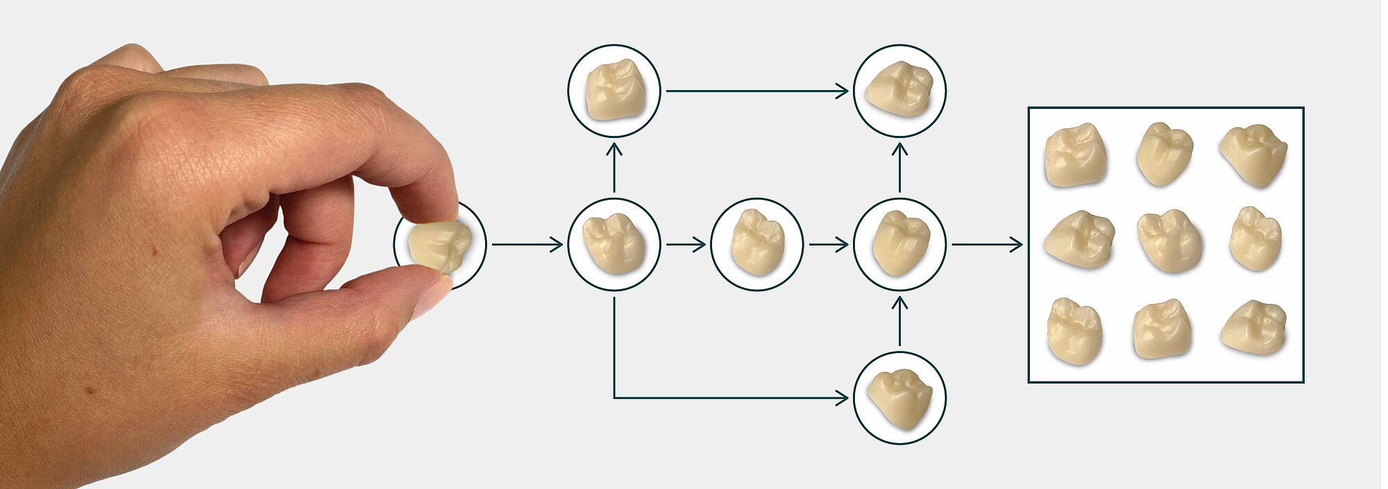 Dental digital | digital 360° workflow