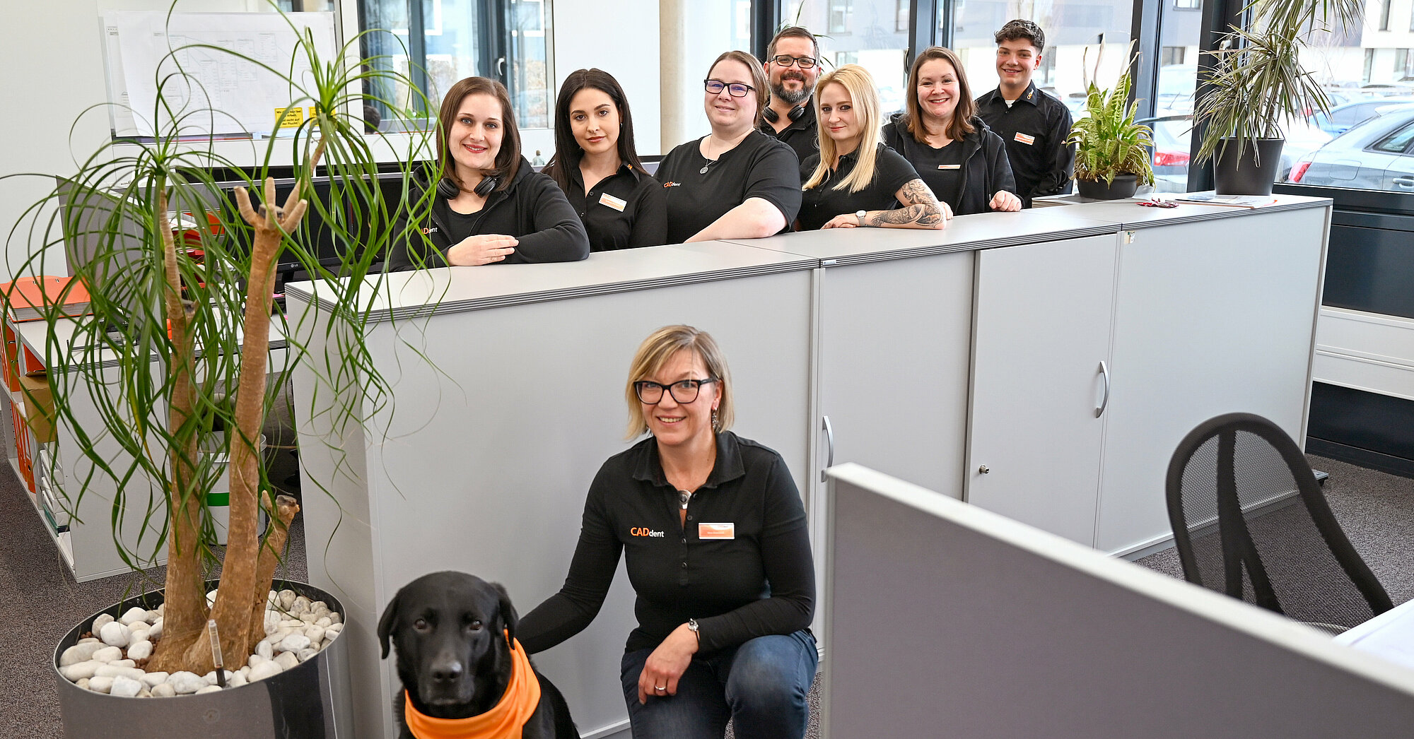 Der Kundenservice von CADdent: Ein Einblick Der Kundenservice von CADdent: Ein Einblick